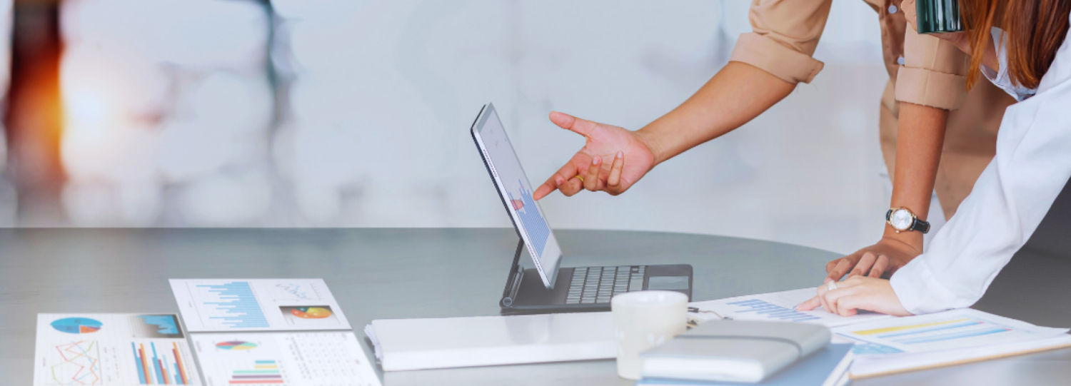 CONSULTING & PROJECT MANAGEMENT – ALPTEK